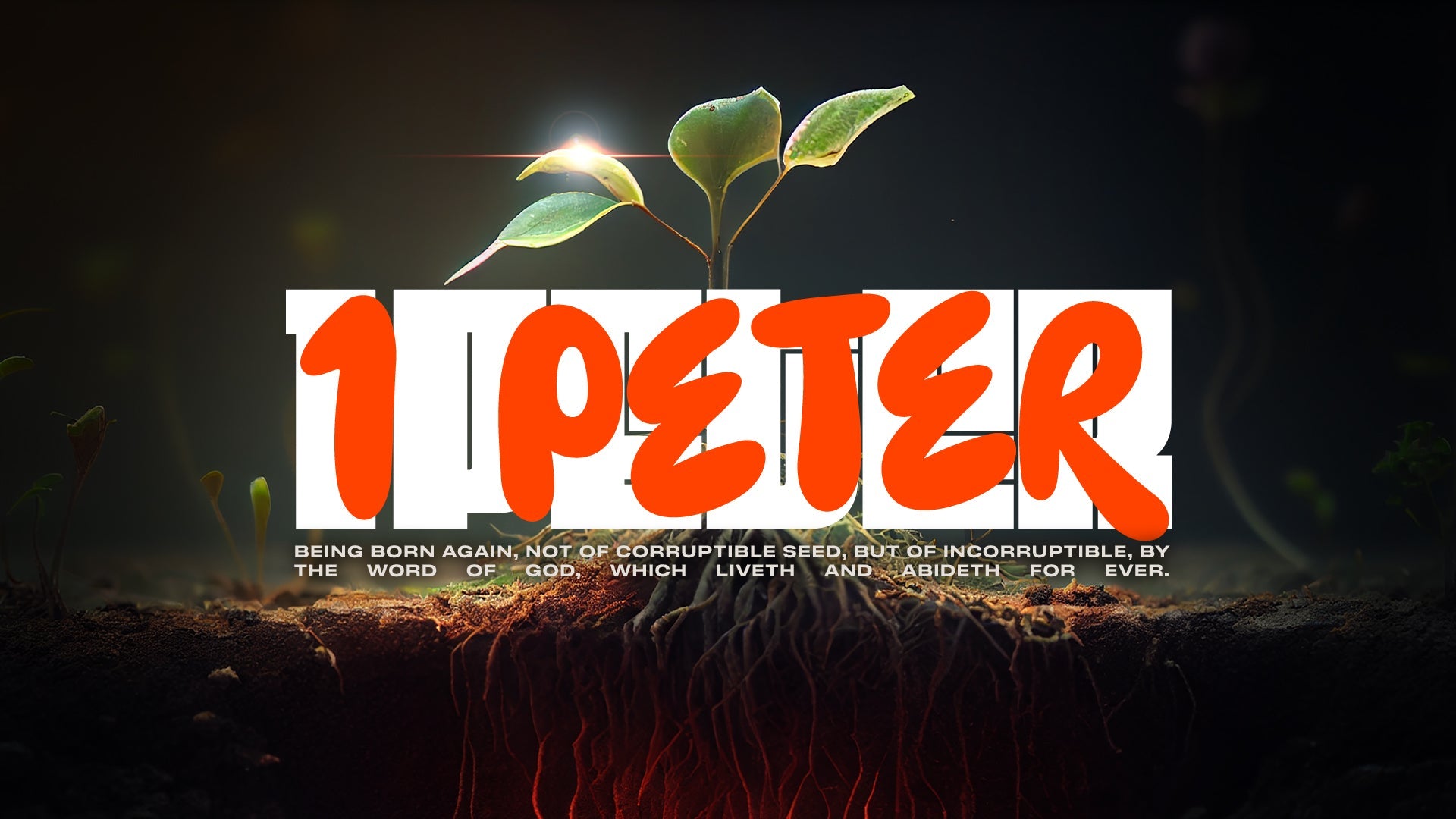 Peter Name Wallpaper