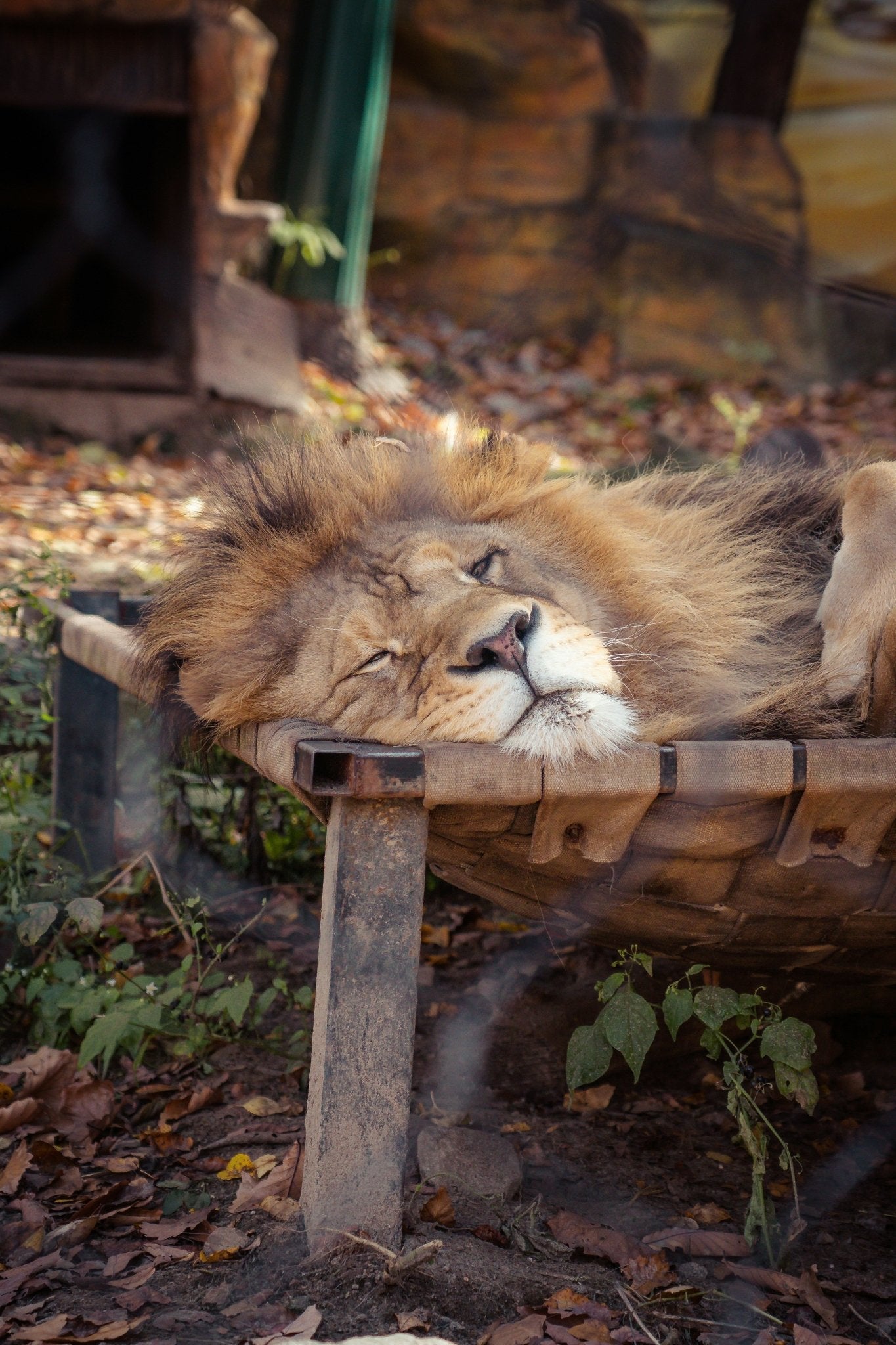 Why Rest Matters? How to Build Fun and Play into Your Youth Ministry ...