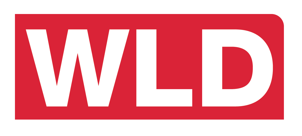 WLD Sample – Reframeyouth