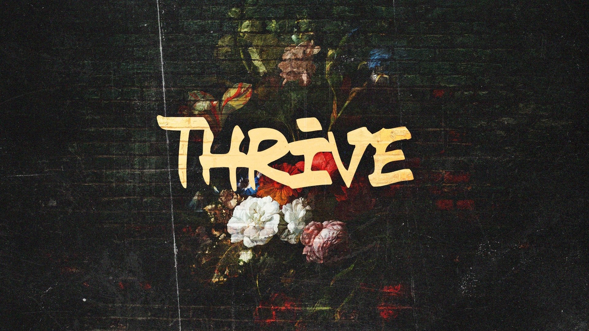Thrive – Reframeyouth